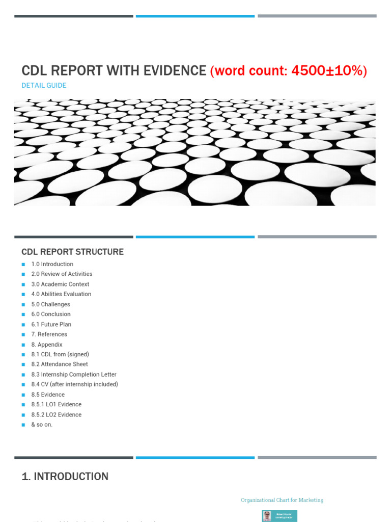 CDL Report With Evidence: (Word Count: 4500 10%) | PDF | Learning ...