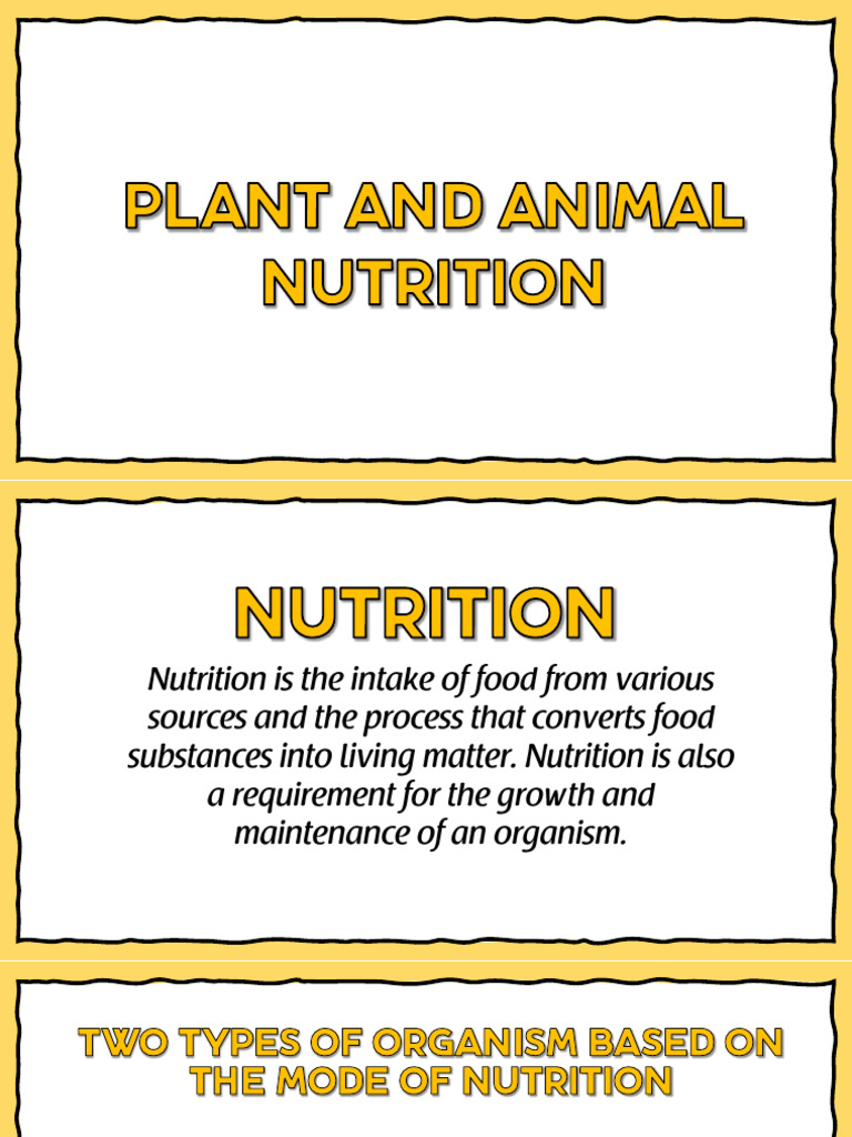 Plant and Animal Nutrition Overview | PDF | Nutrition | Diet & Nutrition