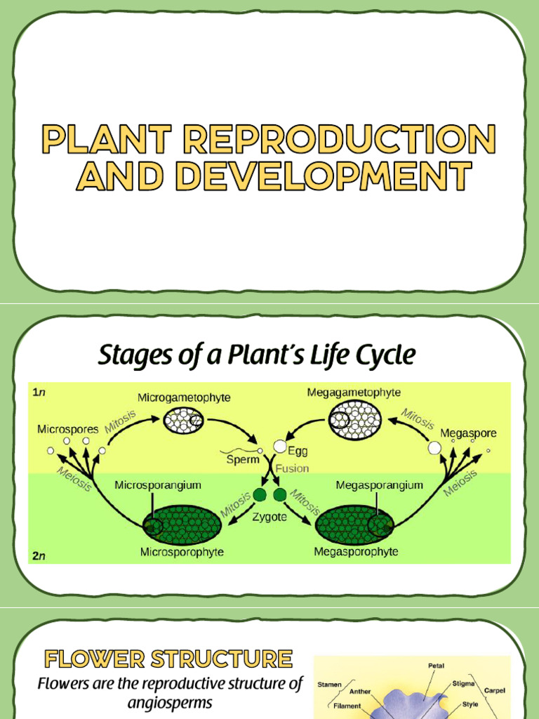Plant Reproduction and Development | PDF