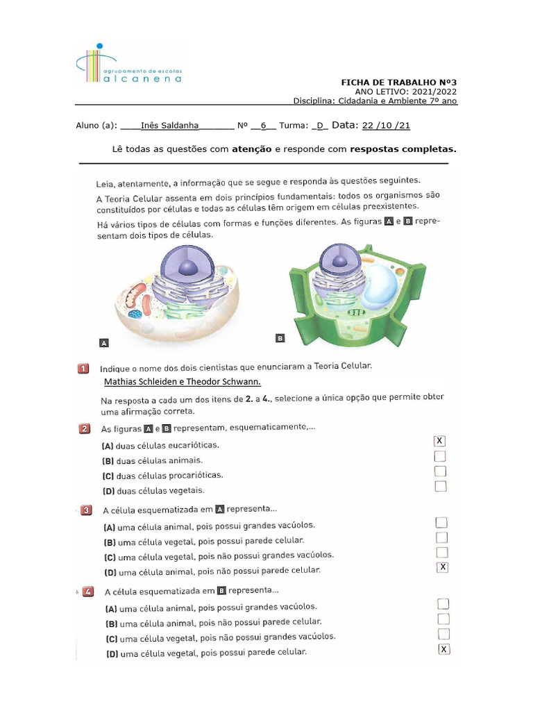 Ficha Trabalho Nº3_Célula - Resolvida | PDF