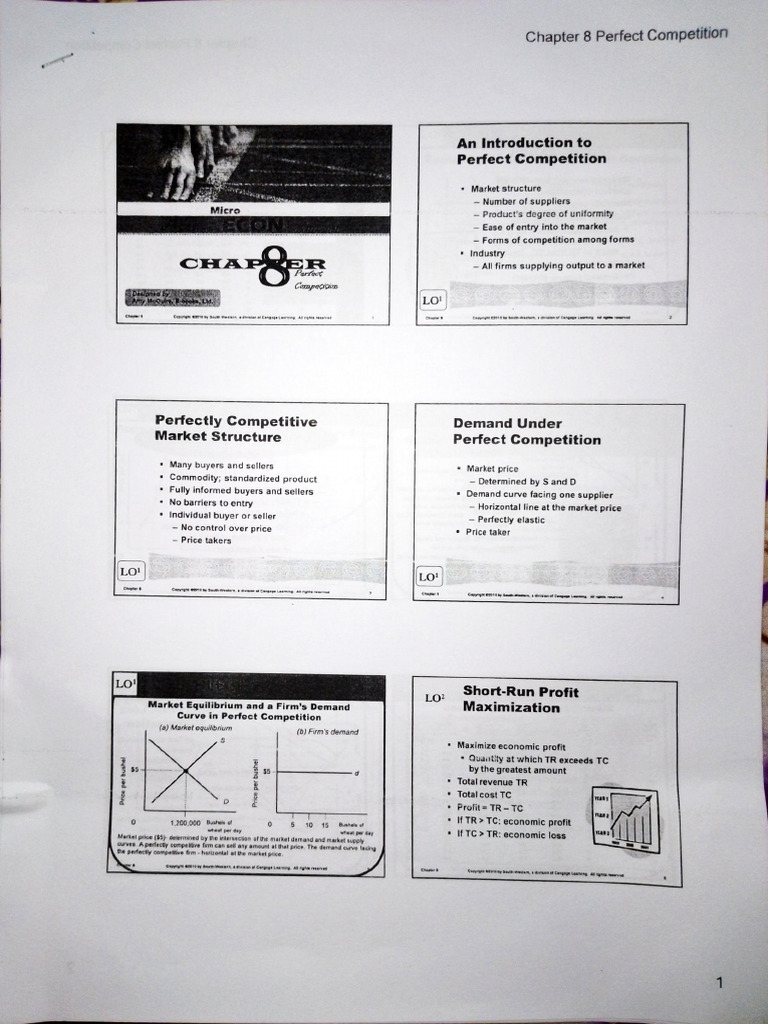 Perfect Competition | PDF