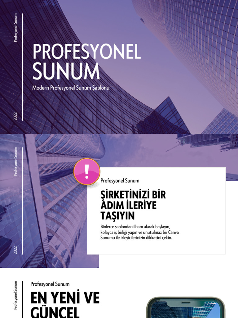 Profesyonel: Sunum | PDF