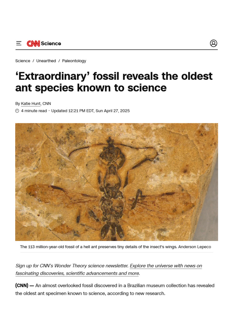 Extraordinary' Fossil Reveals The Oldest Ant Species Known To Science ...