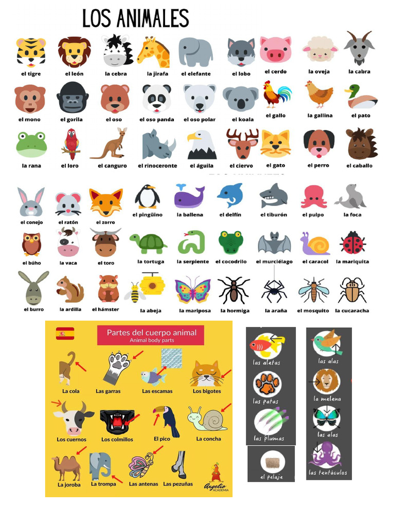 Animales - Vocabulario Activida | PDF