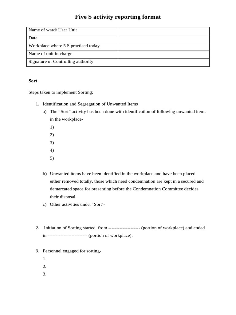 5S Activity Reporting Format | PDF