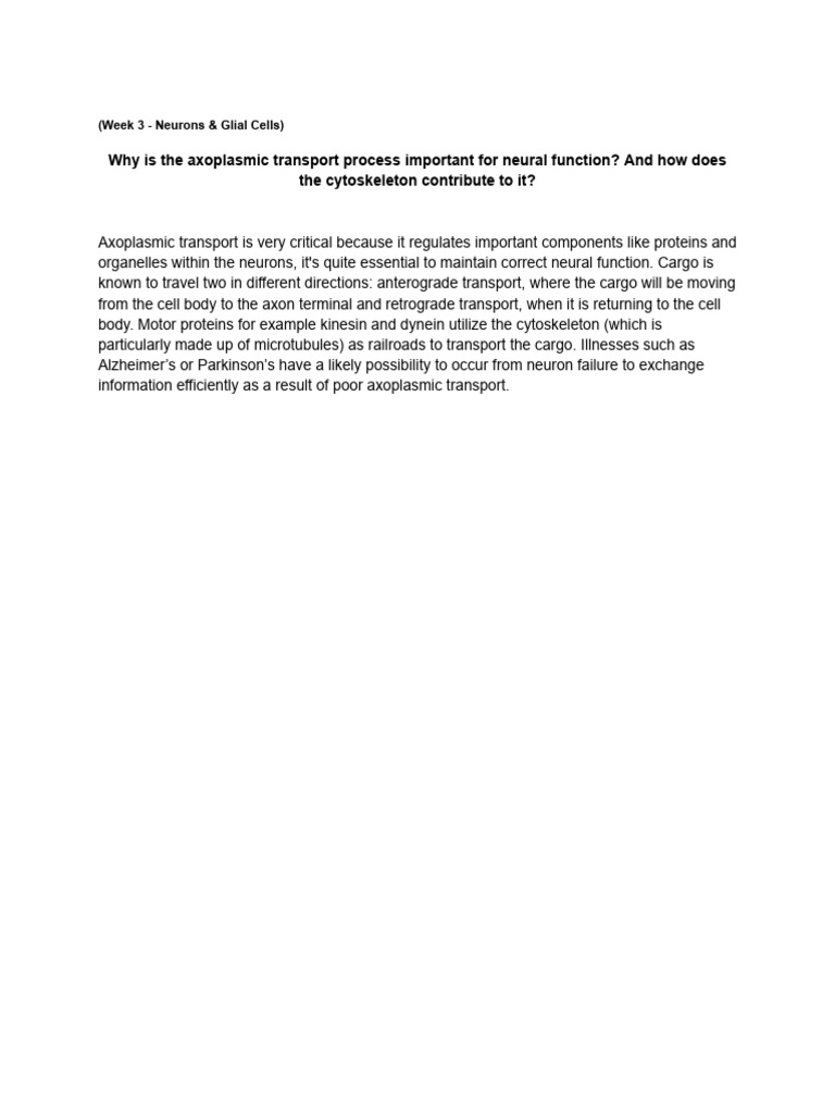 Neurons Glial Cells SAQ+ (1) | PDF