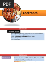 Cockroach Ncert | PDF