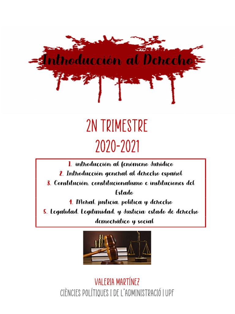 Apunts Finals Dret | PDF | Caso de ley | Ley común