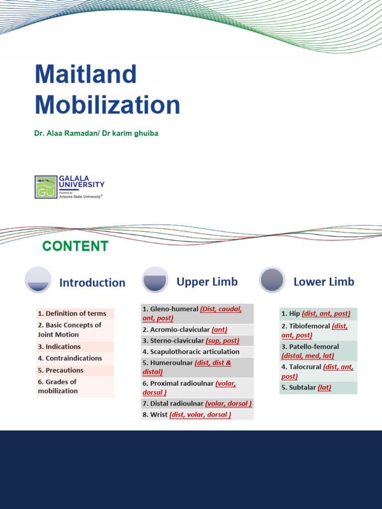 Maitland Mobilization | PDF | Anatomical Terms Of Motion | Skeletal System