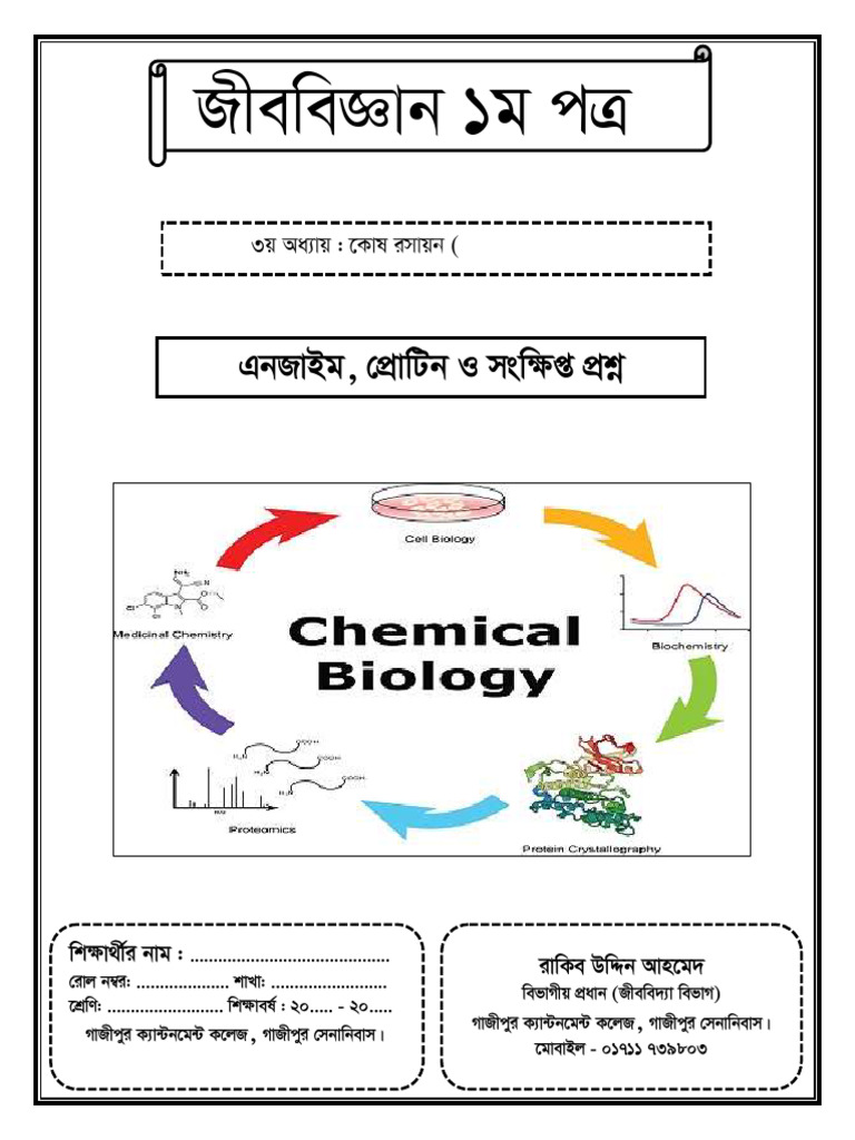 1st Year (Cell Chemistry) - Enzyme & Protein | PDF | Peptide | Enzyme