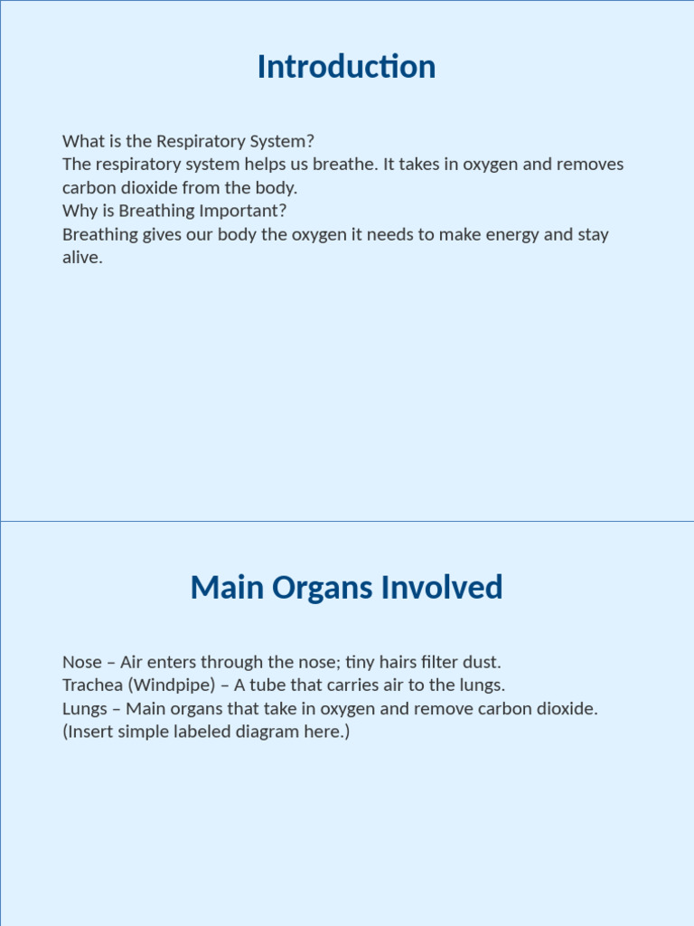 Respiratory System Styled Presentation | PDF