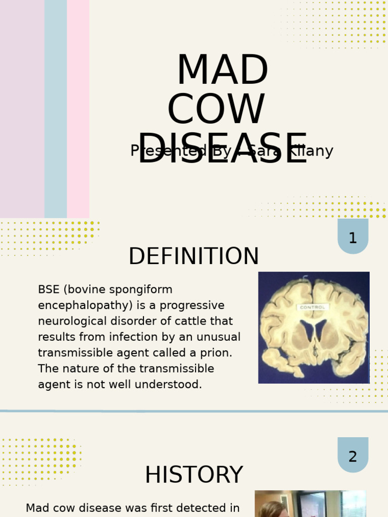 Beige Pastel Minimalist Thesis Defense Presentation | PDF