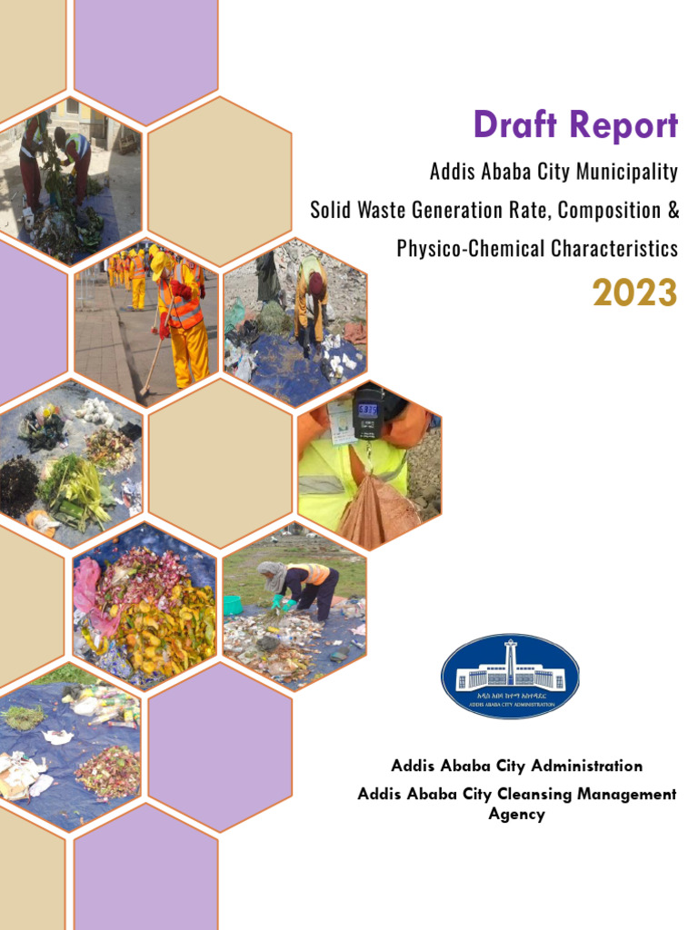 Theme 1 Draft Report | PDF | Waste | Waste Management