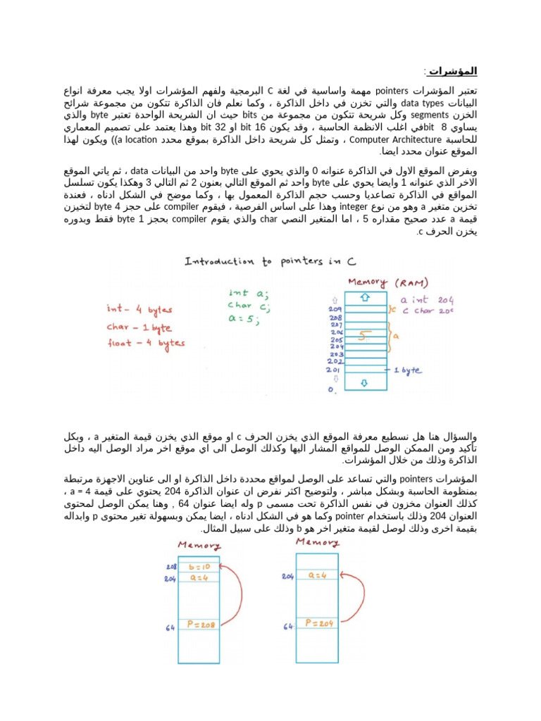 Pointer in Detail | PDF