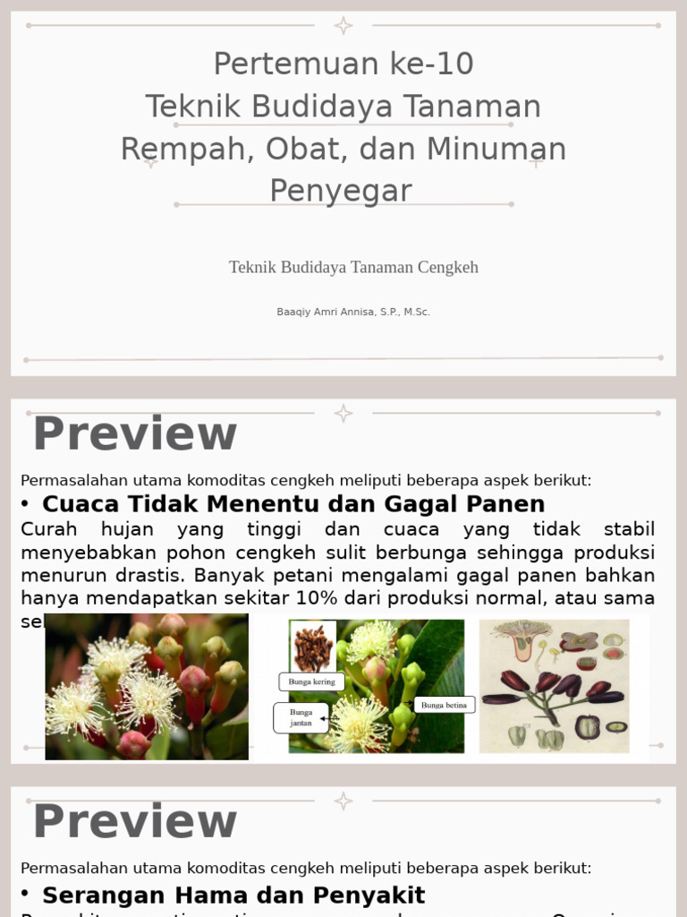 Pertemuan 10 Teknologi Budidaya Cengkeh-1 | PDF
