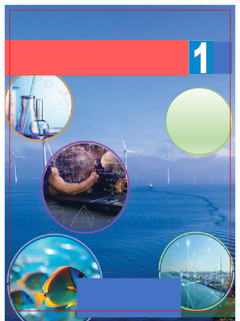 Energy Transfer in Ecosystems | PDF | Ecosystem | Food Web