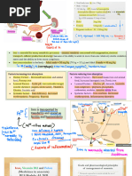 Encifer Injection: Iron Sucrose Overview | PDF | Intravenous Therapy ...