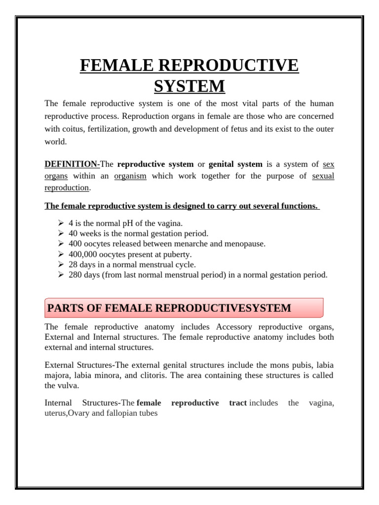 Overview of the Female Reproductive System | PDF | Uterus | Vagina