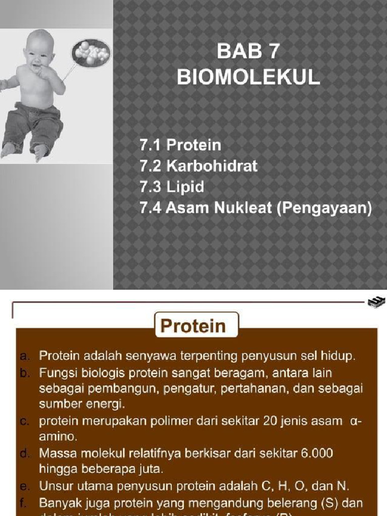 Biomolekul | PDF