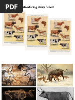 Taxonomic Hierarchy of Cow | PDF