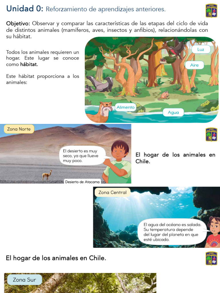 Semana 1 - Las Etapas de Los Ciclos de Vida | PDF