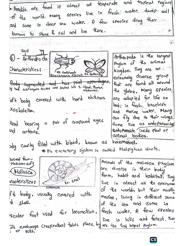 Biology Arthropoda and Mollusca Notes | PDF