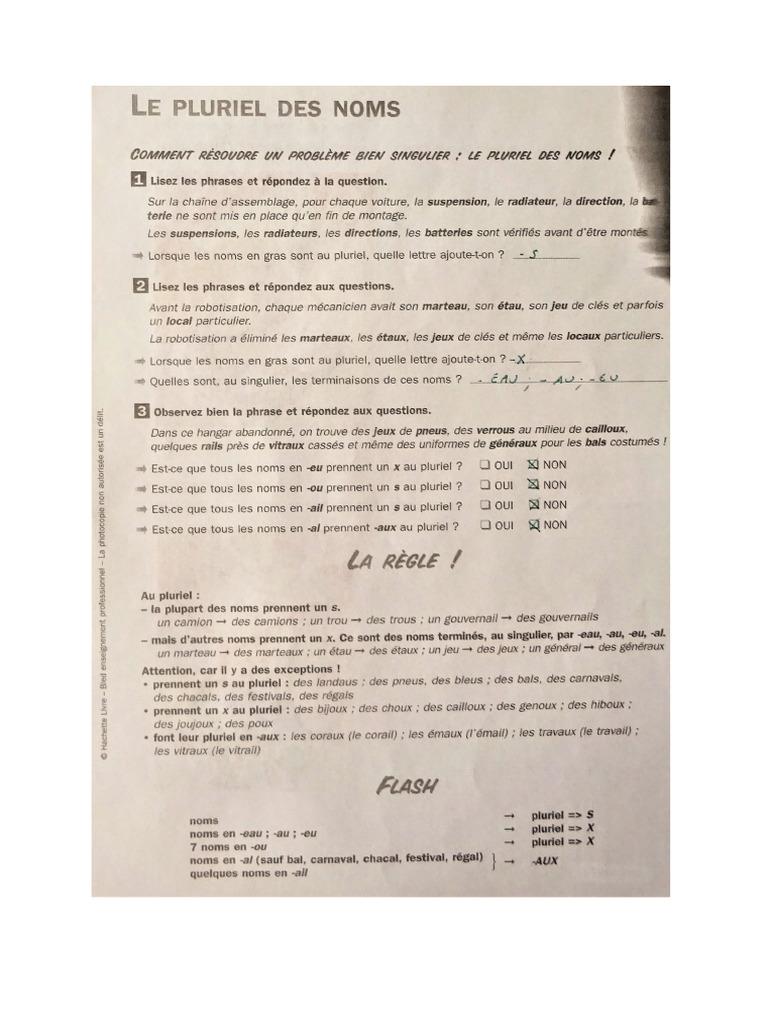 Corrig Pluriel Des Noms 2 | PDF