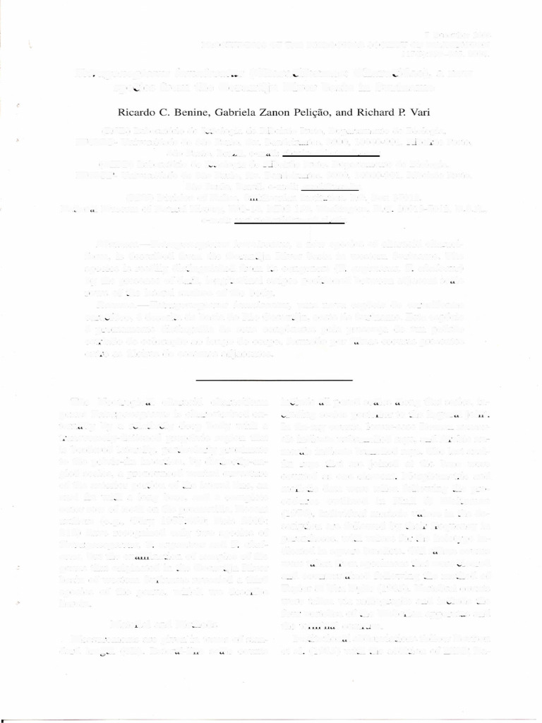 BENINE Et Al., 2004 - Tetragonopterus Lemniscatus | PDF | Anatomical ...