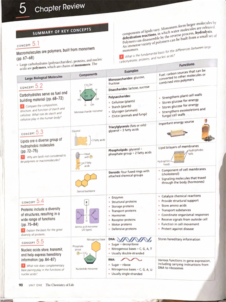 Campbell's AP Biology Unit 5 Overview | PDF