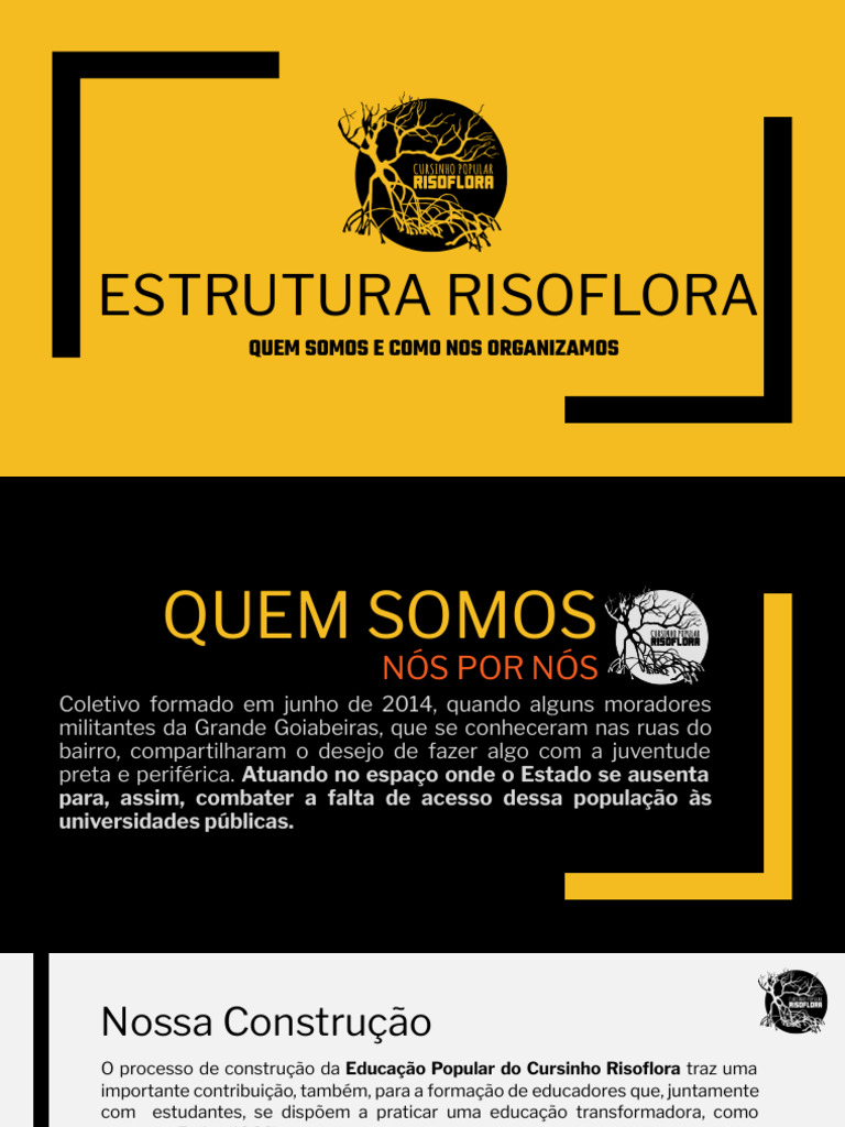 Organograma Risoflora 2024 | PDF | Pedagogia | Estado