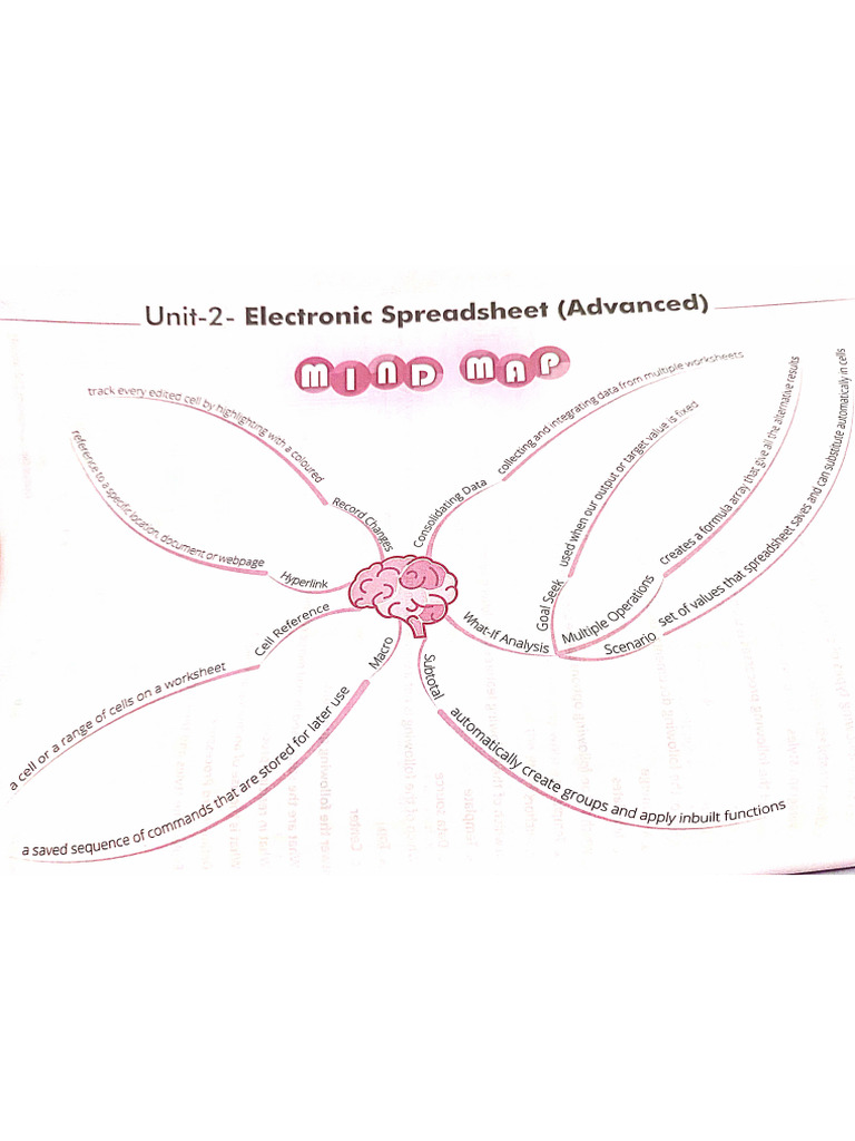 Grade 10.Unit 2 Electronic spreadsheet (1) | PDF