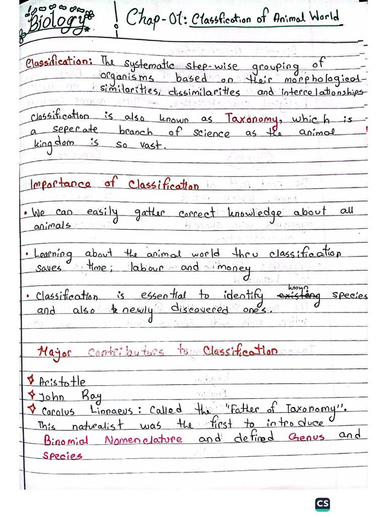 Bio Animalia Kingdom Notes | PDF