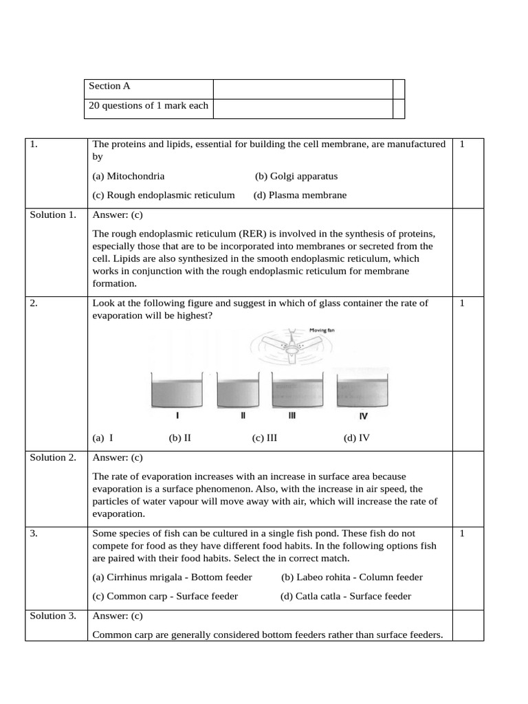 Sample Paper 5 - Ver1 Questions and Solutions | PDF | Endoplasmic ...