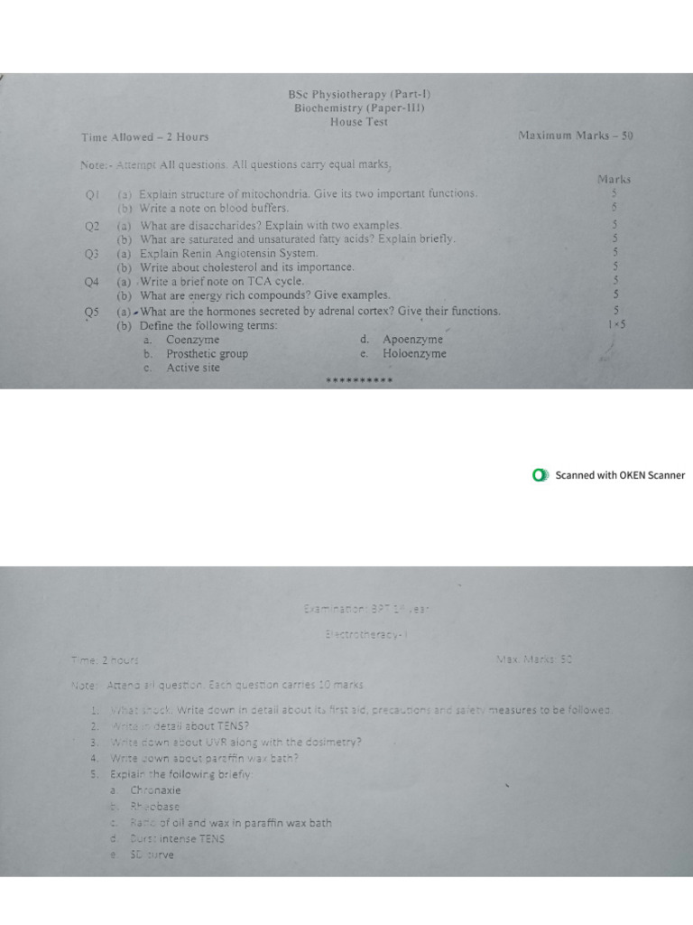 First Year Question PPR | PDF