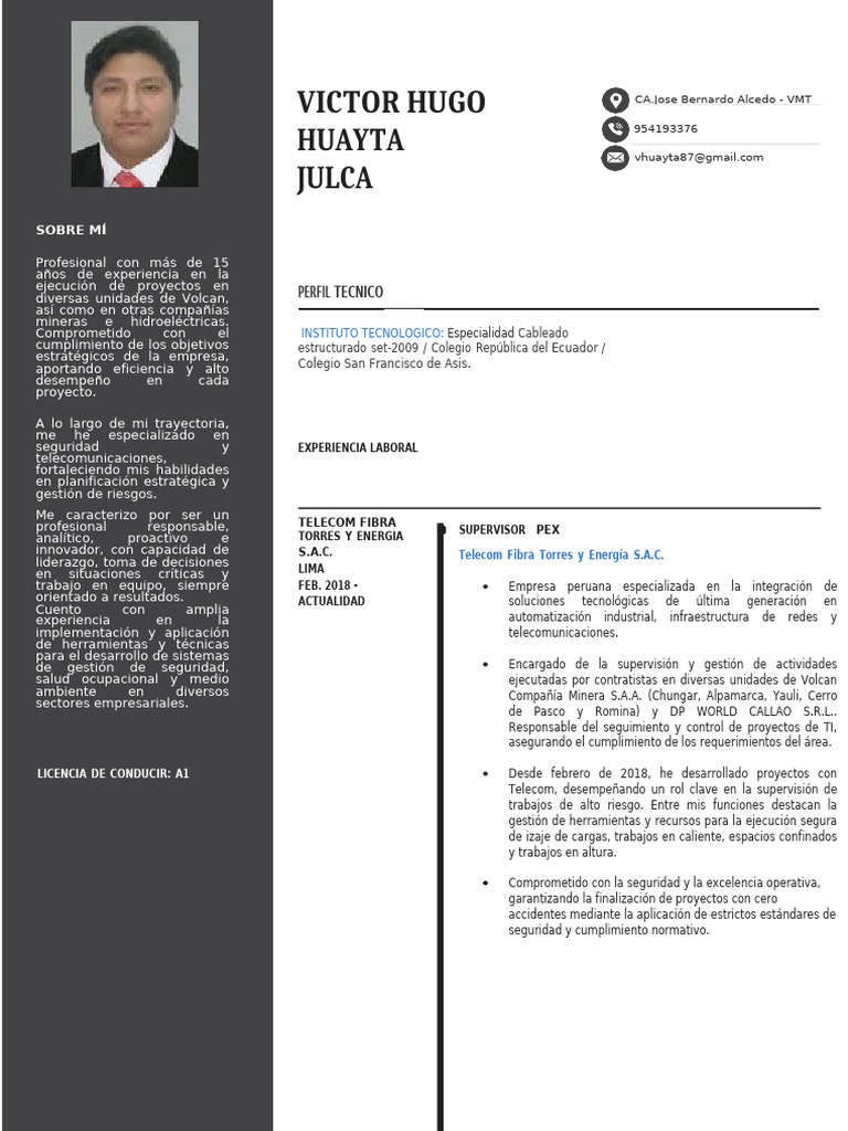 Perfil Profesional de Victor Hugo Huayta | PDF | Business