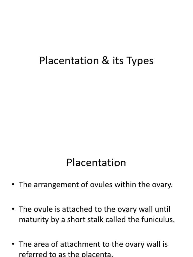 Placentation Its Types | PDF