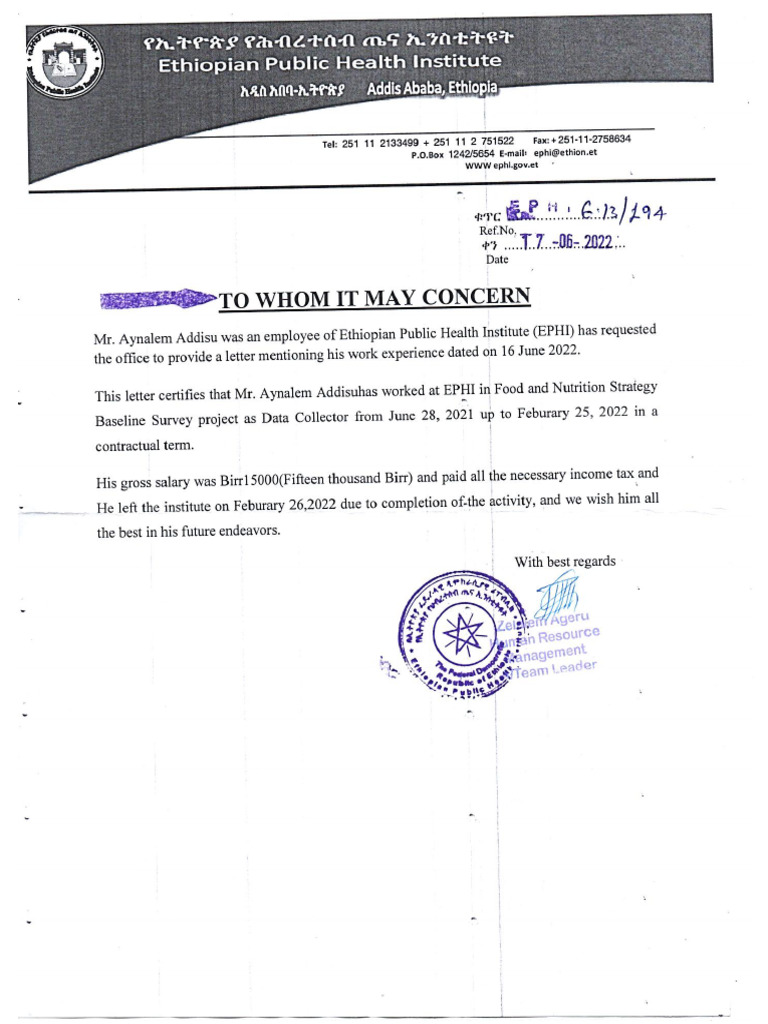 Aynalem EPHI Worrk Experience Amare | PDF