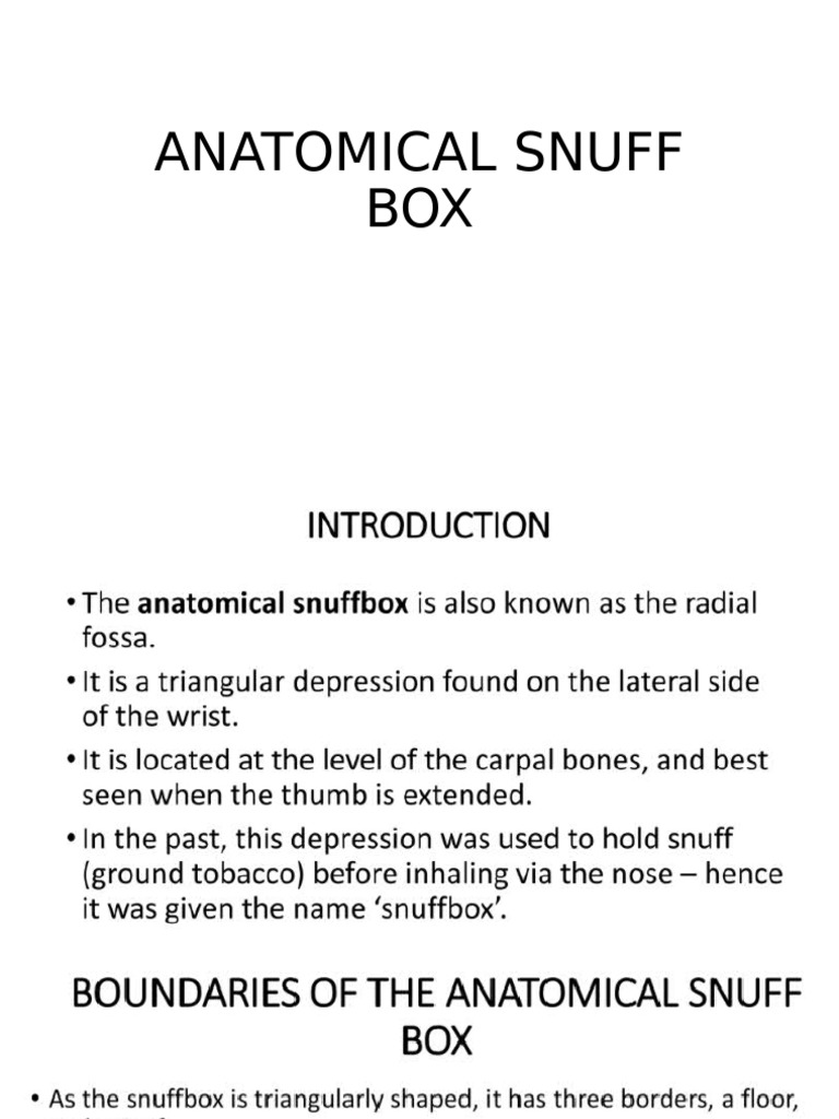 Anatomical Snuff Box | PDF