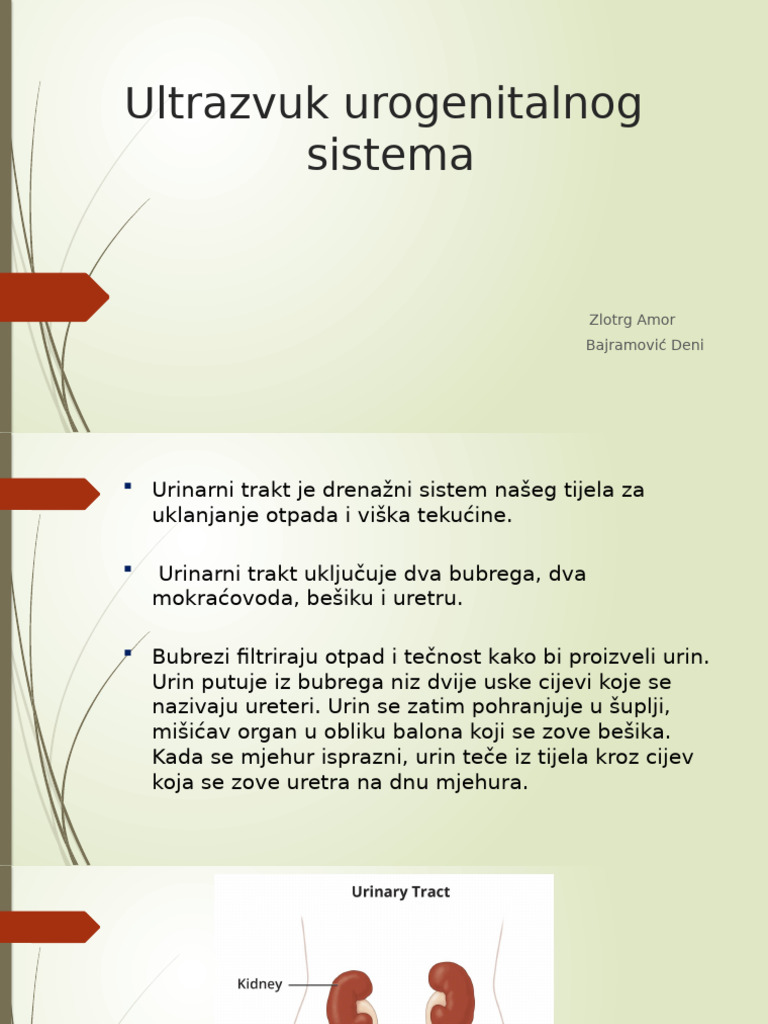 Ultrazvuk urogenitalnog | PDF