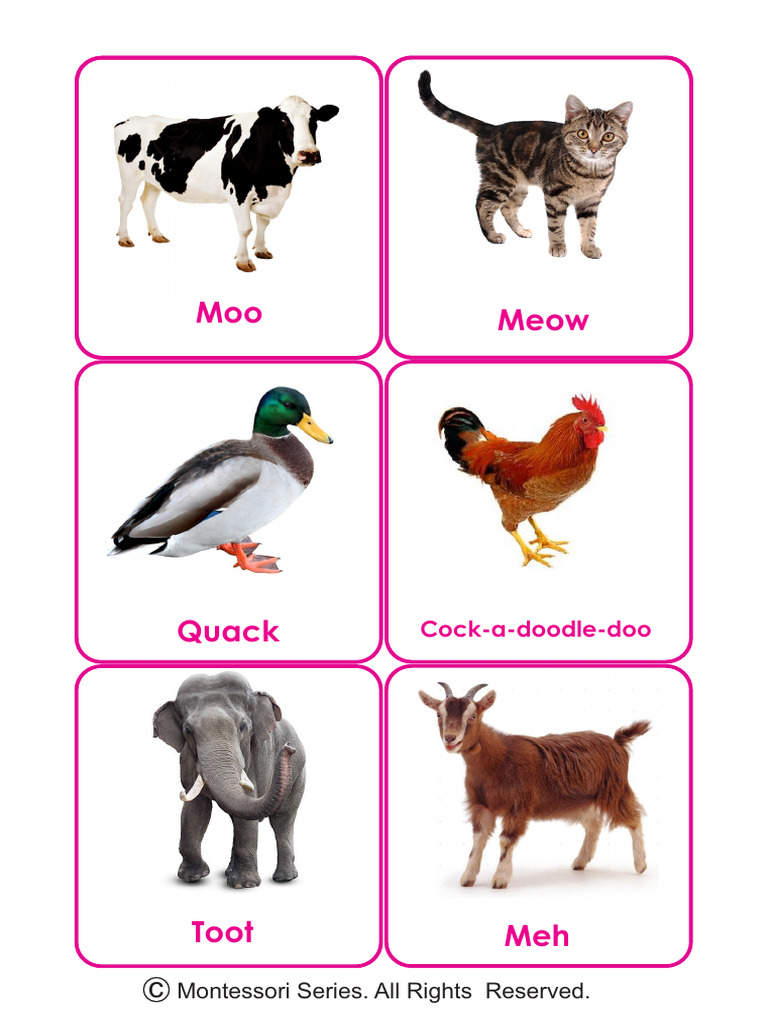 Animals and Their Sounds | PDF