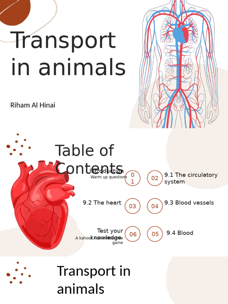 Circulatory System PowerPoint Template by EaTemp | PDF | Heart | Artery