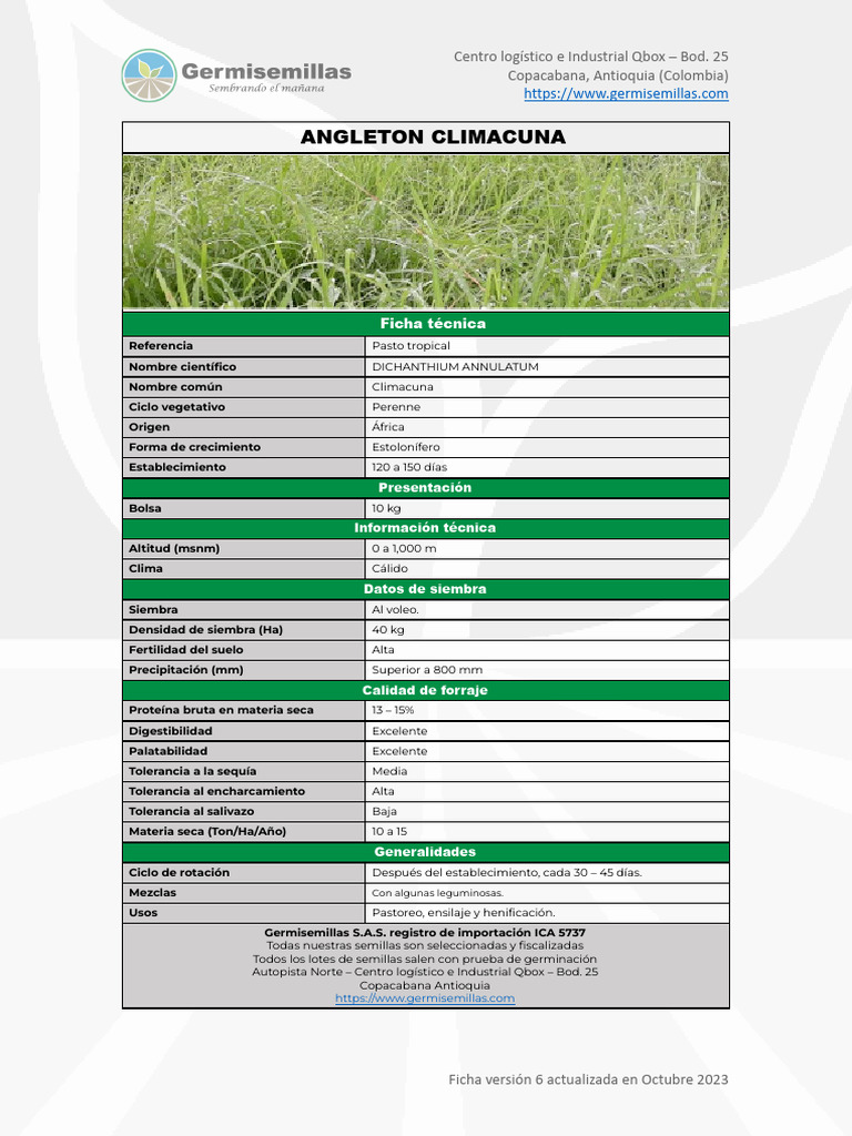 Ficha Tecnica v6 Angleton Climacuna | PDF | Pasto | Botánica
