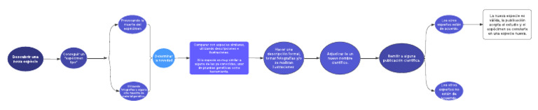 Diagrama de Flux | PDF