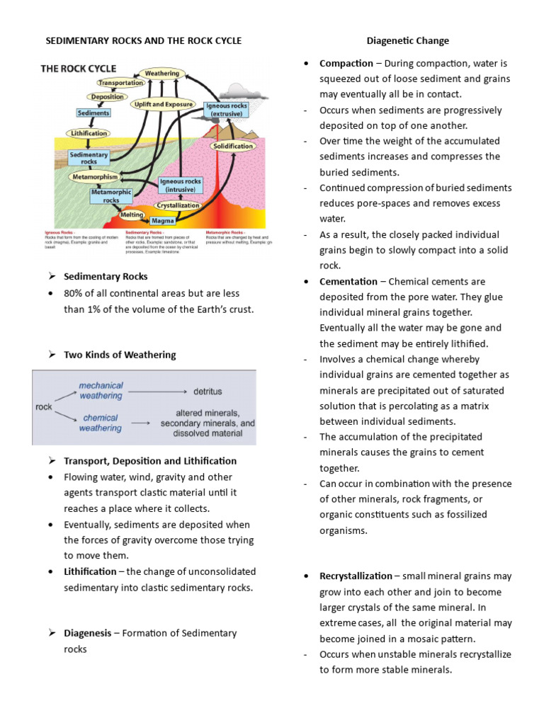 Sedimentary Rocks and The Rock Cycle | PDF | Clastic Rock | Sedimentary ...