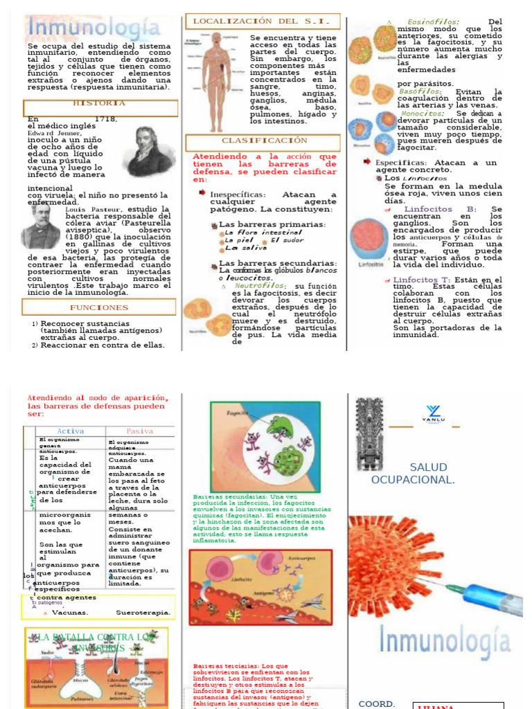 PDF Triptico Inmunologia Compress | PDF | Sistema inmune | Anticuerpo