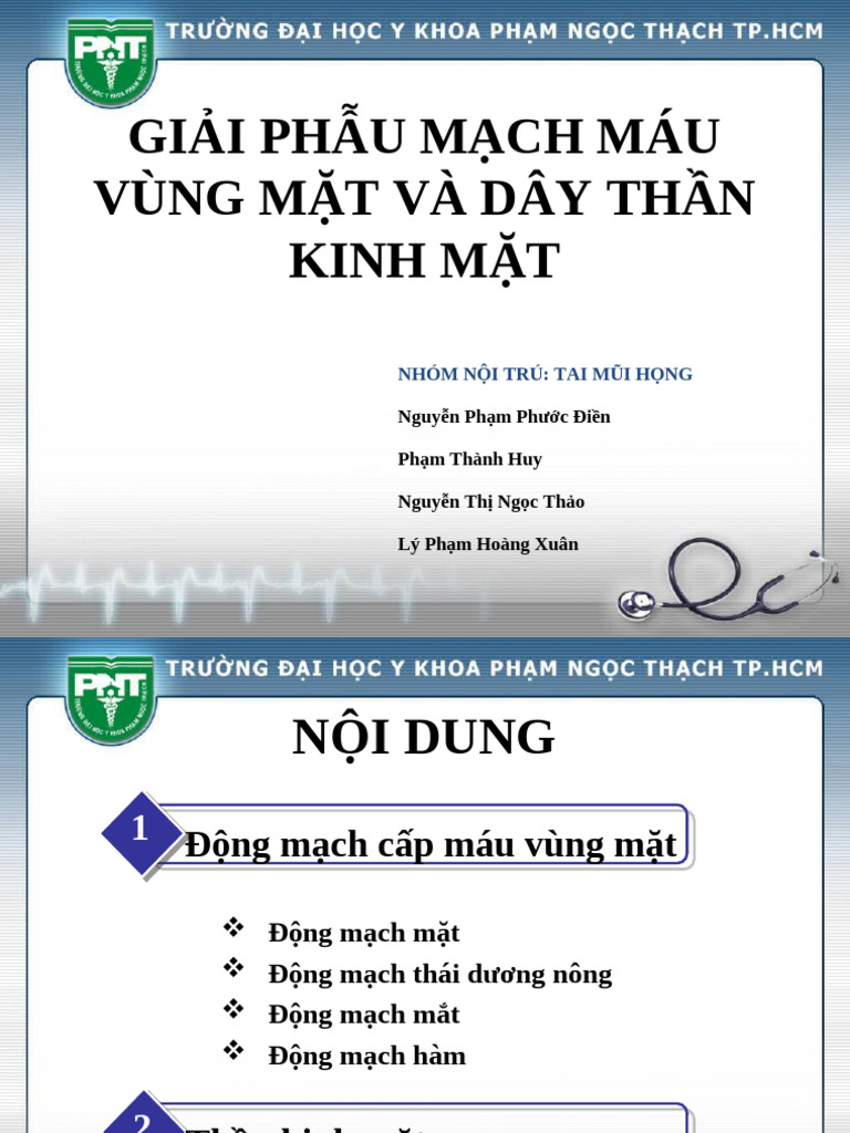 (123doc) - Giai-Phau-Mach-Mau-Vung-Mat-Va-Day-Than-Kinh-Mat | PDF