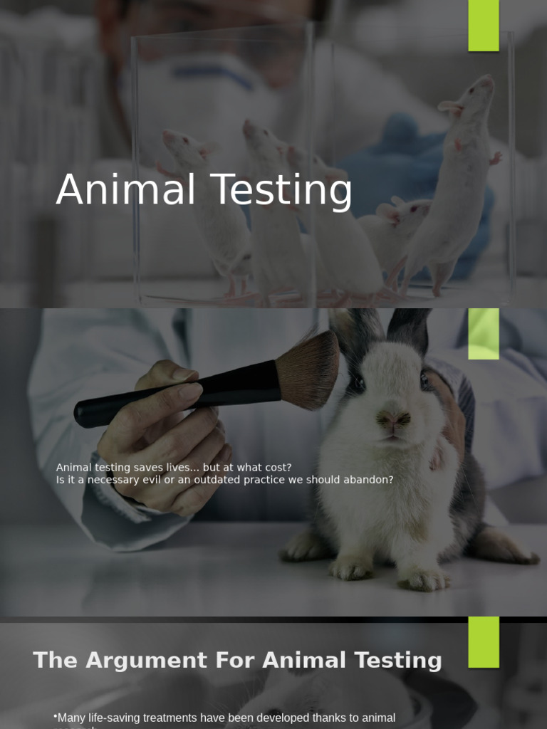 Animal Testing | PDF