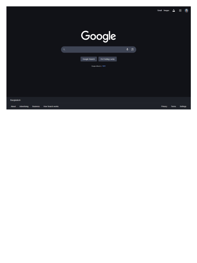 Google Screen | PDF
