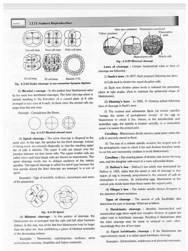 Errorless Biology Part 2-66 | PDF