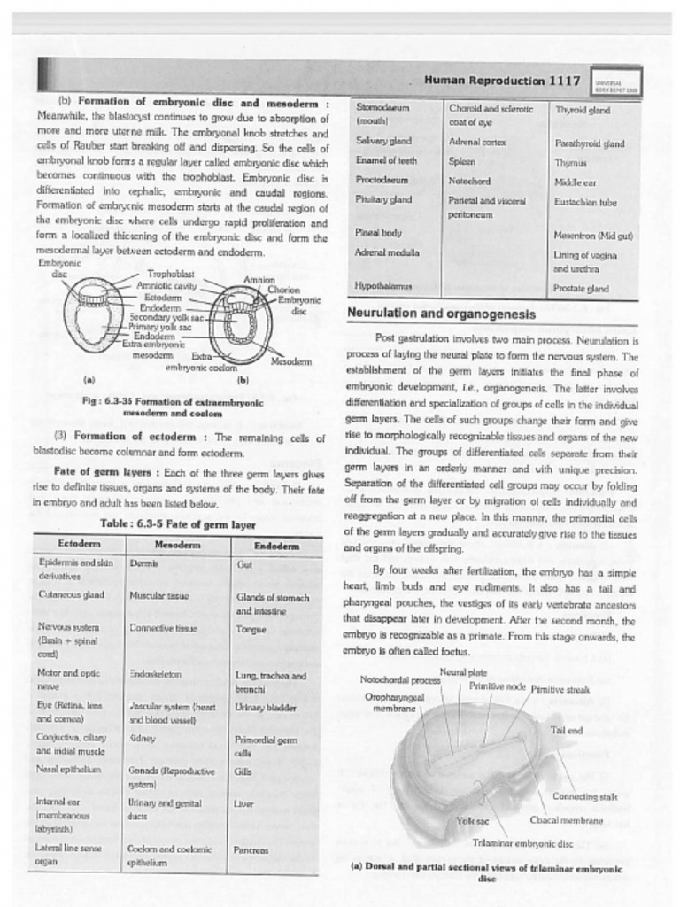ERRORLESS_BIOLOGY_PART_2-69 | PDF